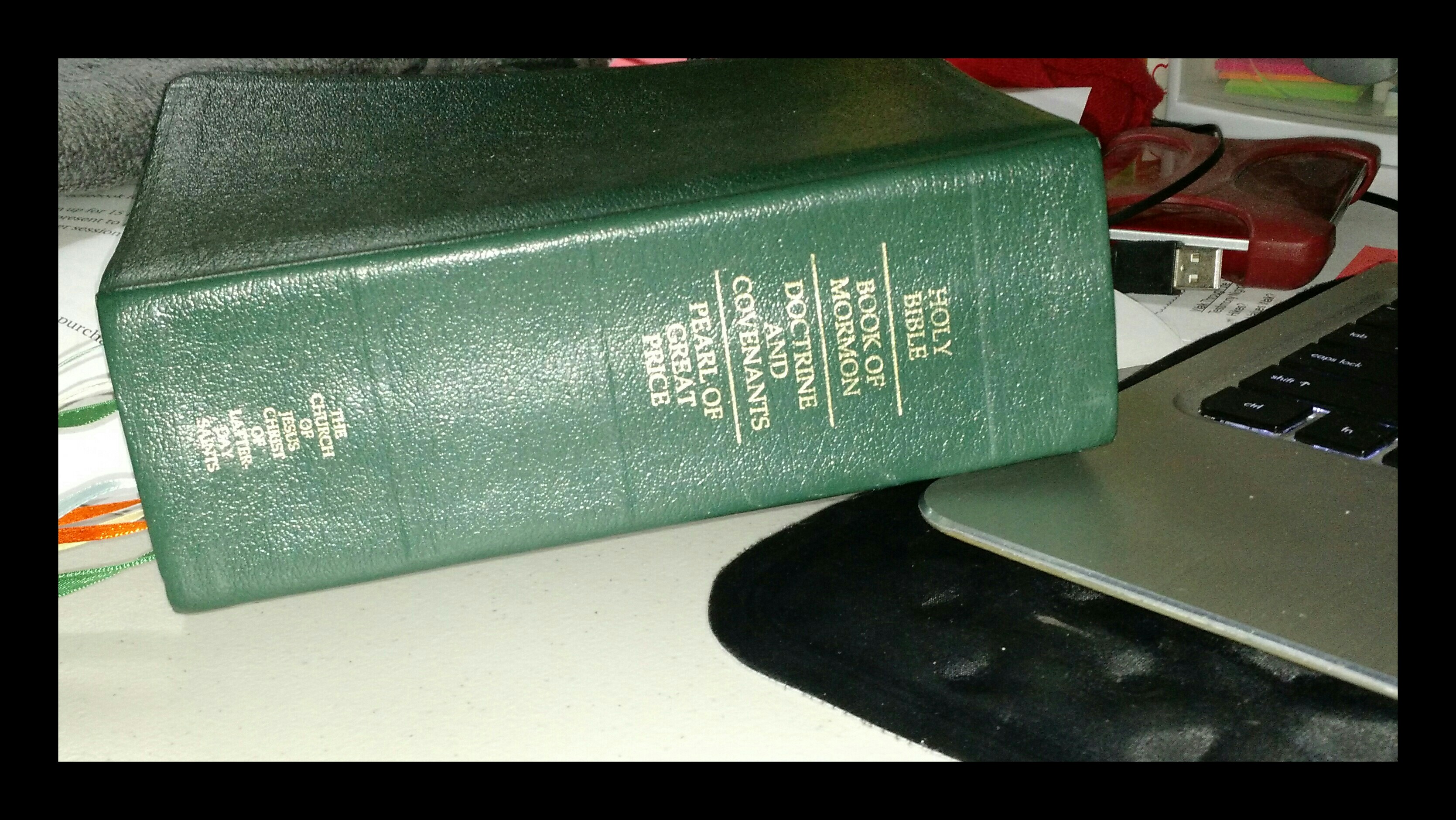 The Party to Say Goodbye – Mormon Missionary Farewells – Meigi’s Going ...